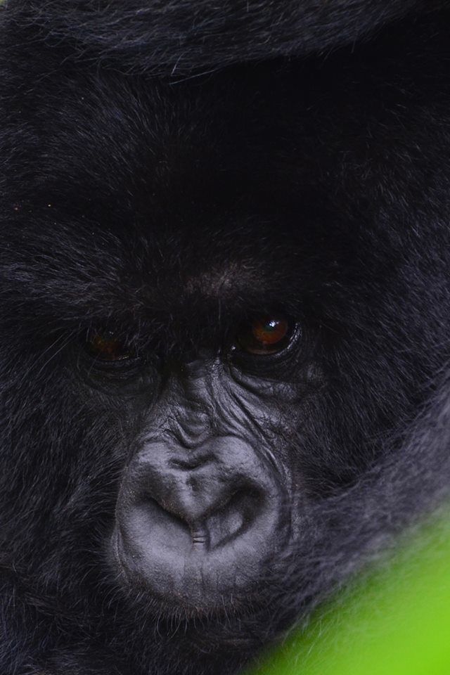 The Best Souvenirs from Rwanda: Handwoven Masterpieces from a Local ...