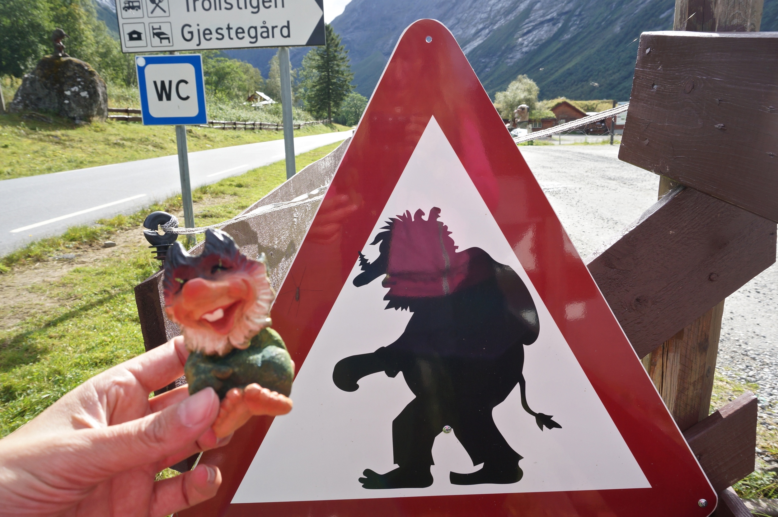 Best Souvenir Troll in Norway: A Photo Journey