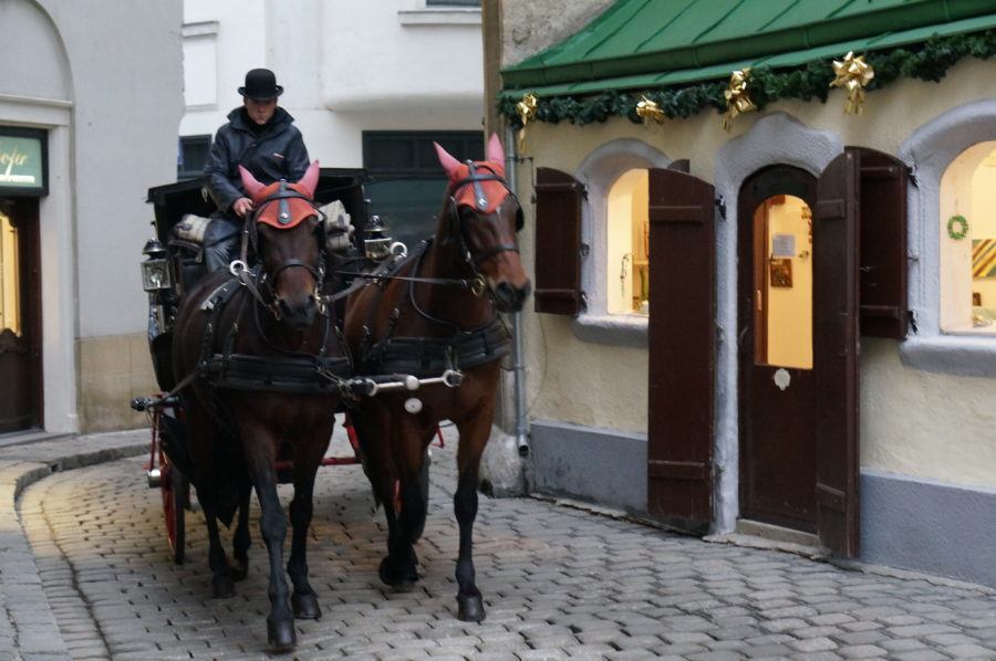 The Top 15 Souvenirs from Vienna, Austria - Souvenir Finder